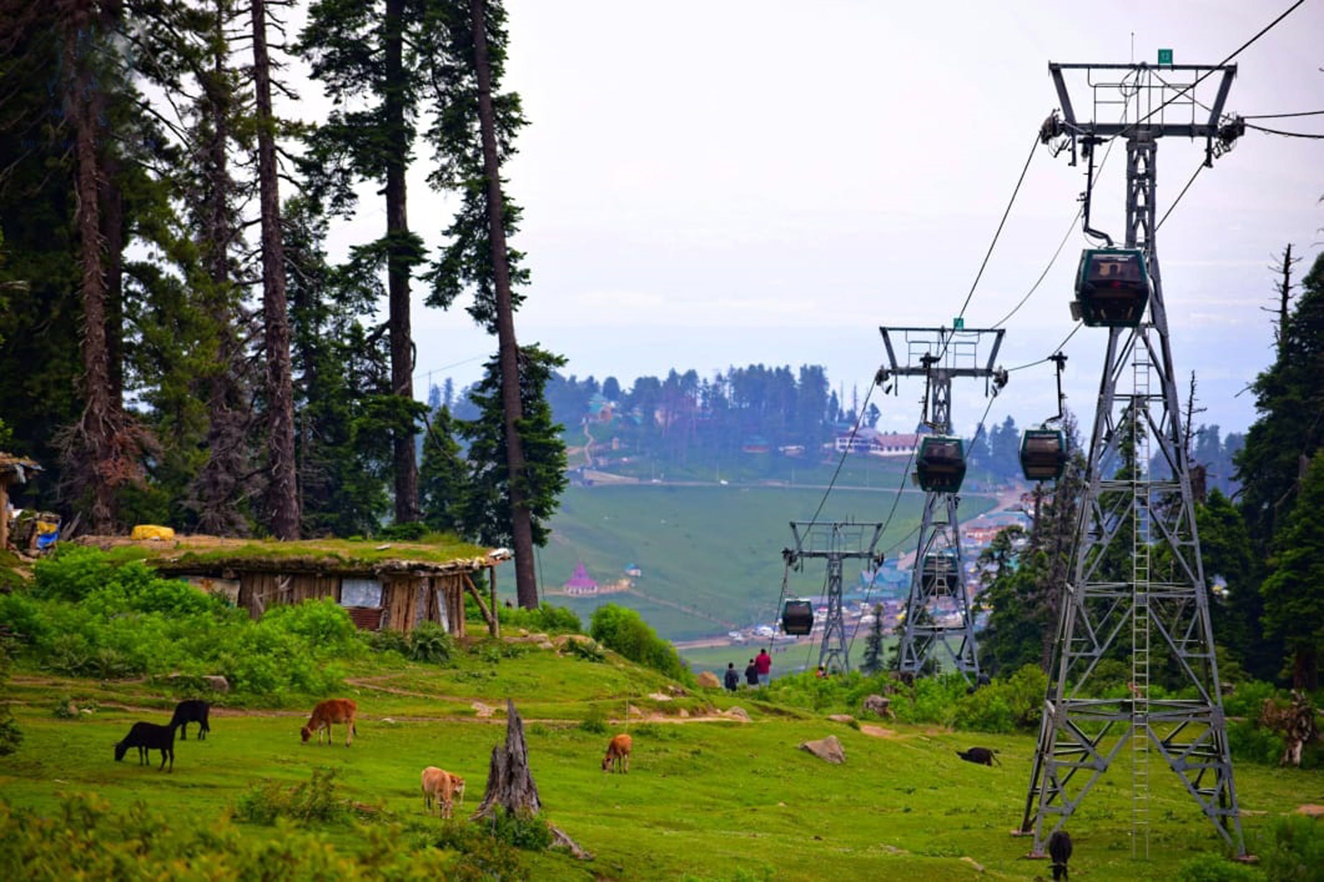 Jammu & Kashmir Cable Car Corporation